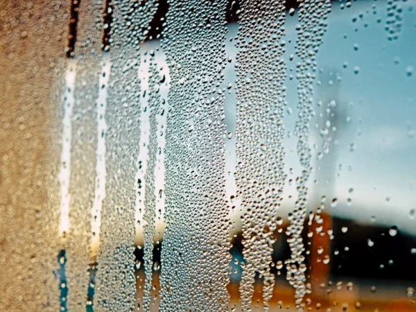 Wet windows - we tell you how to eliminate this problem. MS więcej niż OKNA